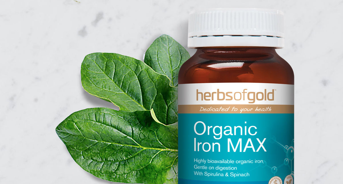 The Golden Formula to Support Energy — Supplement Mart